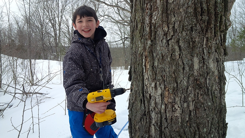 Photo Gallery – Ennis Maple Products